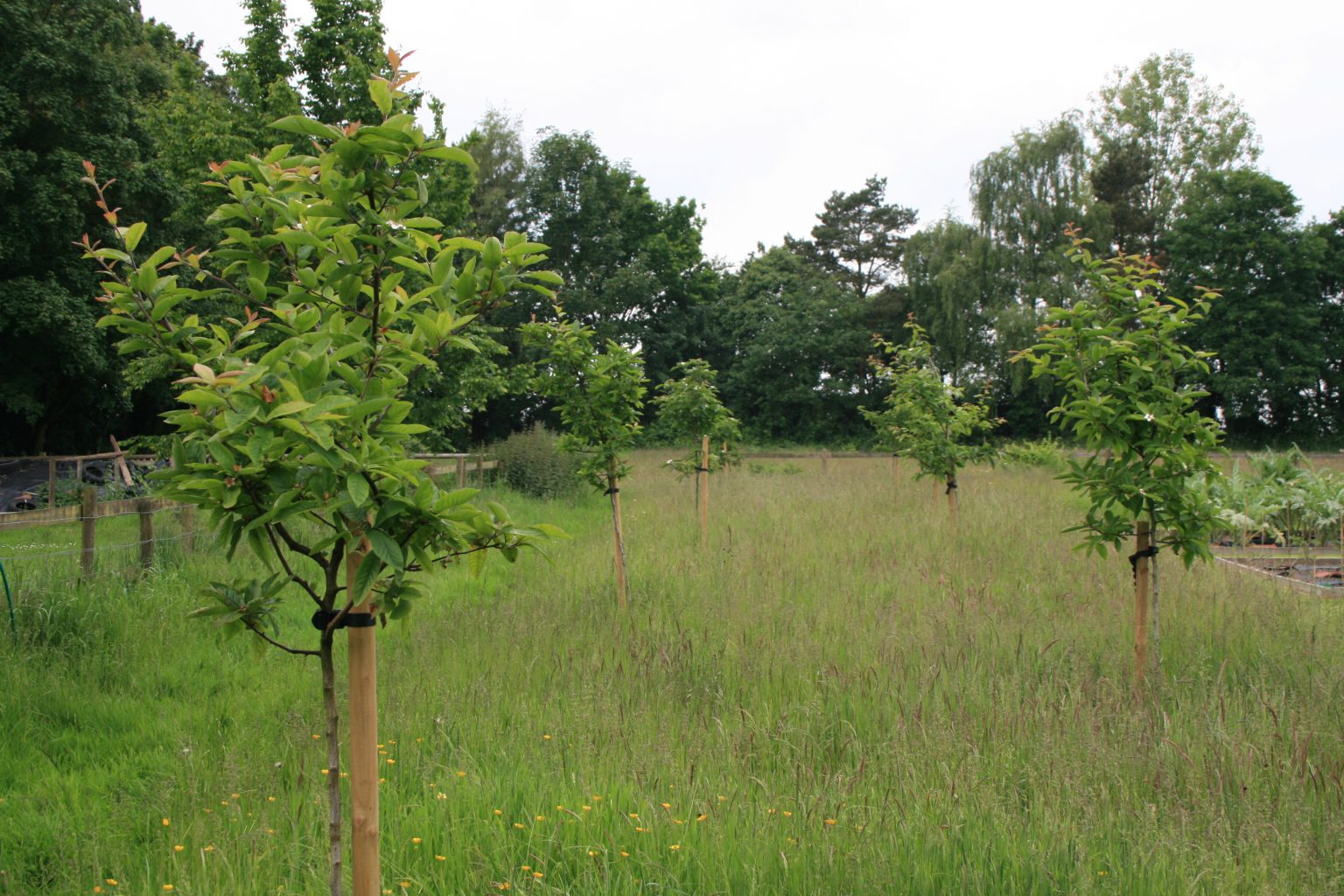 The Norfolk Foodie – Eastgate Larder – The Delicate Diner