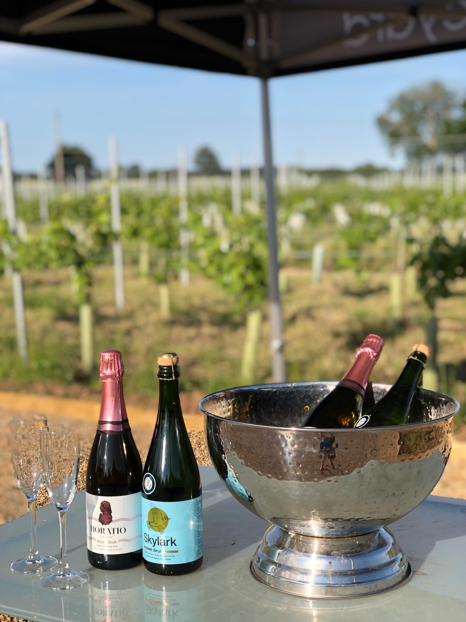 The Norfolk Foodie – Chet Valley Vineyard – The Delicate Diner